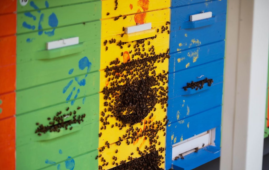 Home Page | Purpose Built Technology Solutions | Metromatics